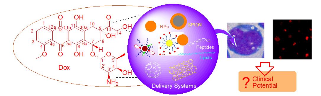 Graphical Abstract ScienceIn Publishing